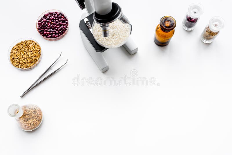 Food Analysis. Rice Under the Microscope on White Background Top View ...