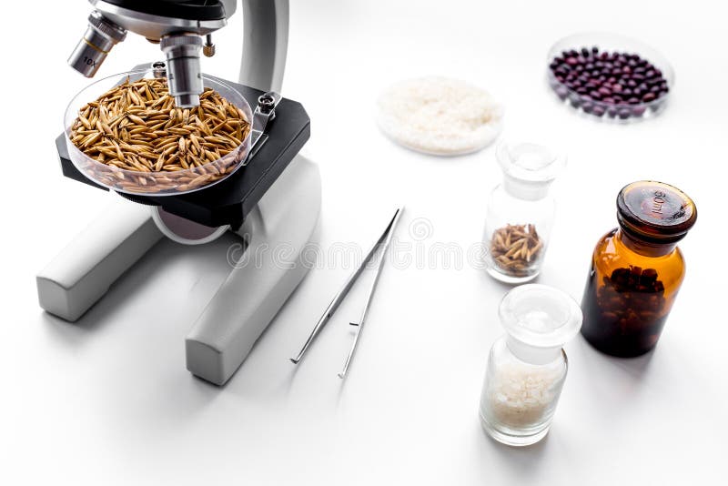 Food Analysis. Wheat Under the Microscope on White Background Stock ...