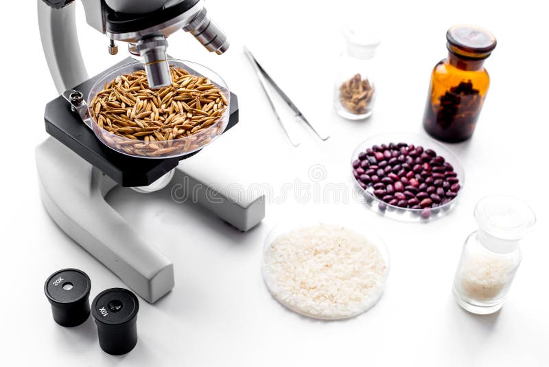 Food Analysis. Wheat Under the Microscope on White Background Stock ...