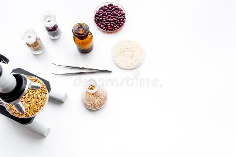 Food Analysis. Wheat Under the Microscope on White Background Top View ...