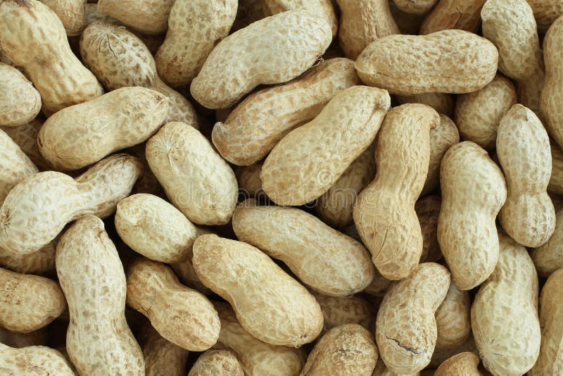 Food Background - Big Unshelled Peanuts Situated Arbitrarily Stock ...