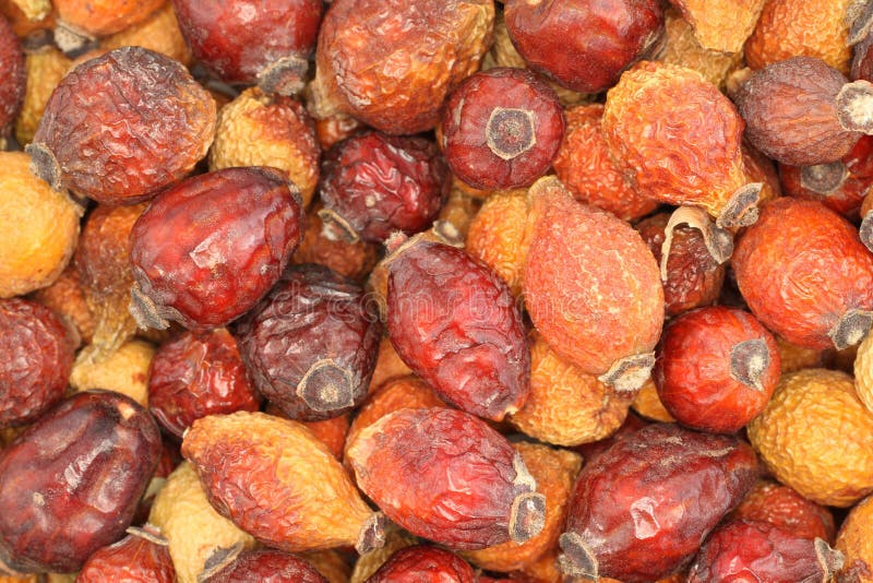 Food Background - Dried Rose Hips Stock Photo - Image of harvest, color ...