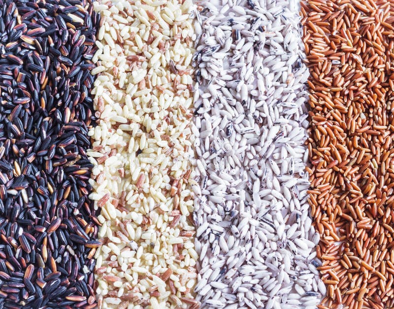 Food Background with of Rice Variety . Stock Image - Image of macro ...