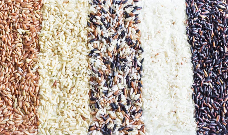Food Background with of Rice Variety . Stock Image - Image of ...