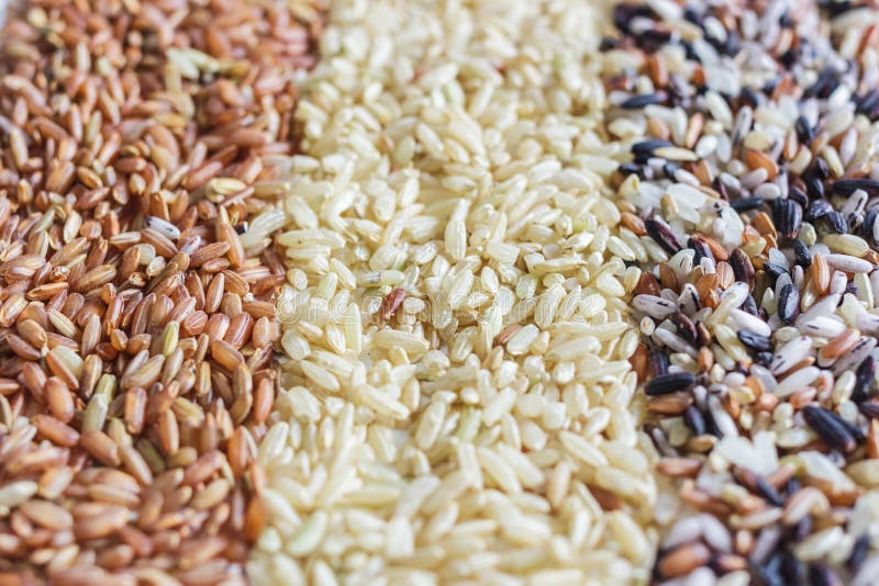 Food Background with of Five Rice Variety . Rice Mixture Stock Image ...