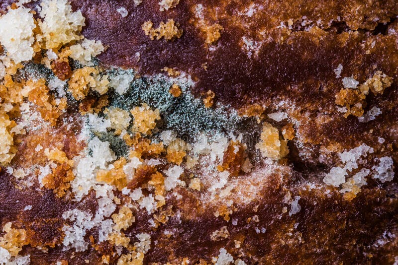 Spoiled Cheesecake Stock Photos - Free & Royalty-Free Stock Photos from ...