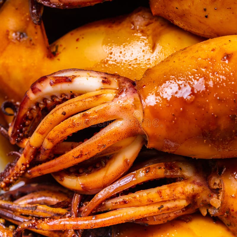 Cooked squid close-up stock image. Image of gourmet - 124099271