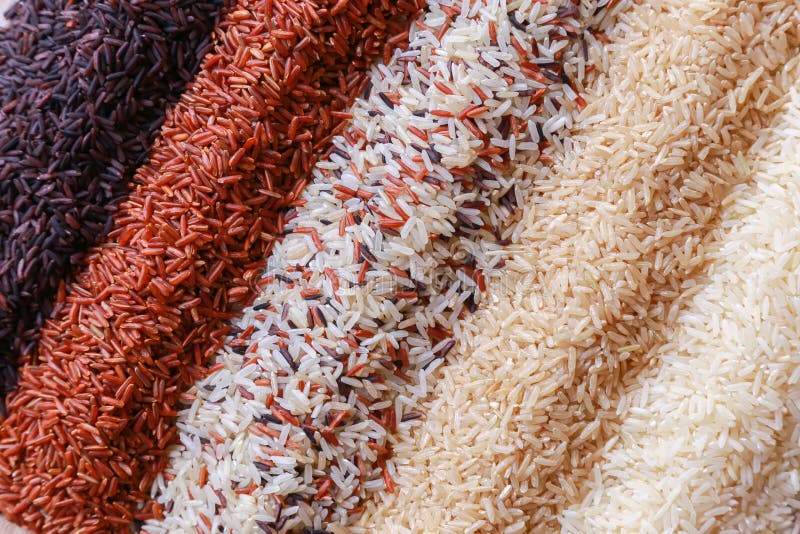 Top View of Five Rows of Rice Stock Photo - Image of group, black ...