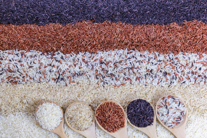 Top View of Five Rows of Rice in a Wooden Spoon Stock Image - Image of ...