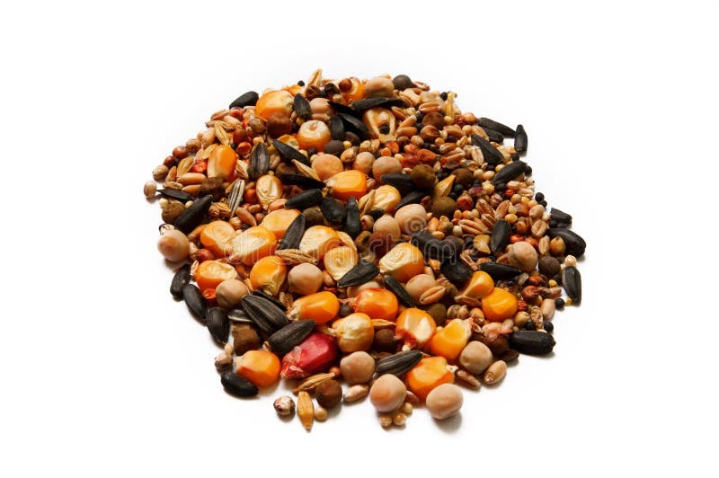 Food for birds stock photo. Image of brown, agriculture - 23499558