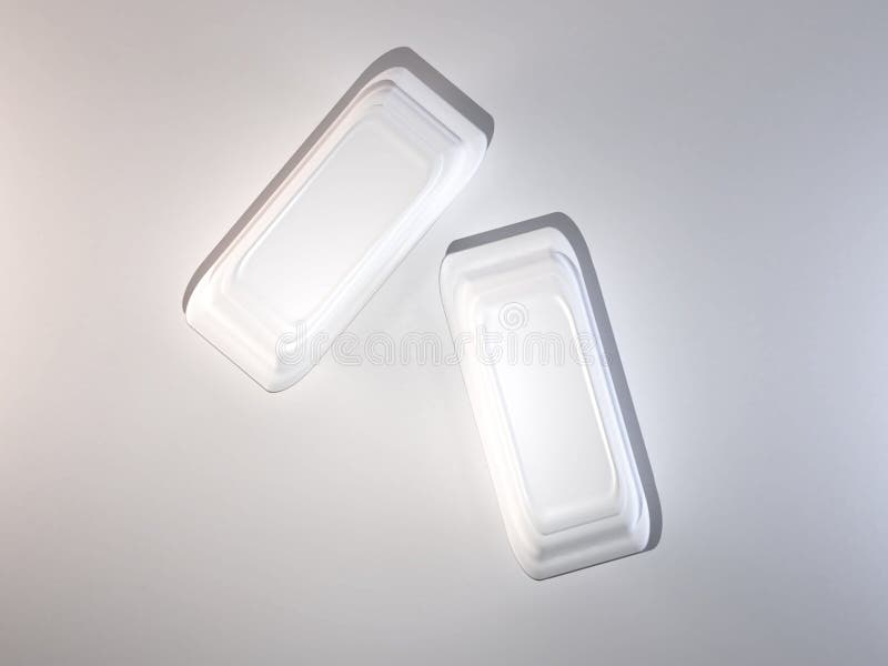 Styrofoam Food Box Packaging 3D Mockup Scene Stock Illustration ...