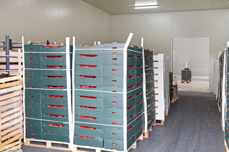 Food in Boxes stock photo. Image of stack, crate, food - 204181596