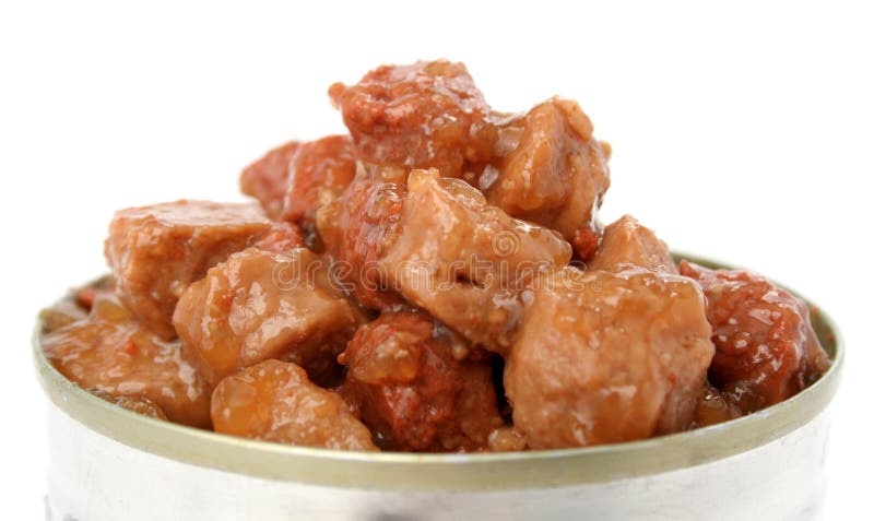 Cats Eating Canned Food Stock Photos - Free & Royalty-Free Stock Photos ...