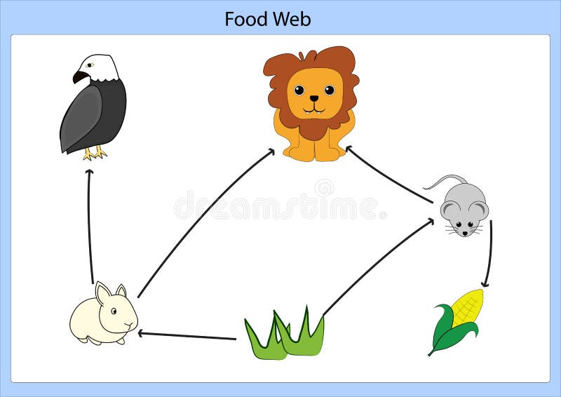 Food chain stock vector. Illustration of science, producer - 61063116