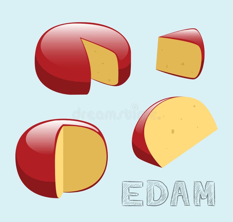Food Cheese Type Edam Vector Illustration Stock Vector - Illustration ...