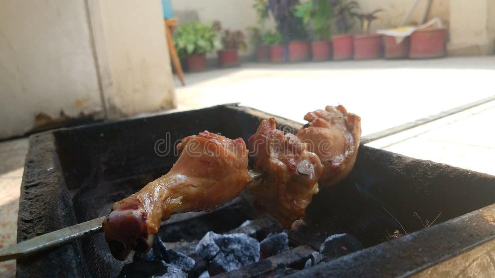 Food stock photo. Image of food, chicken, pakistan - 100667174