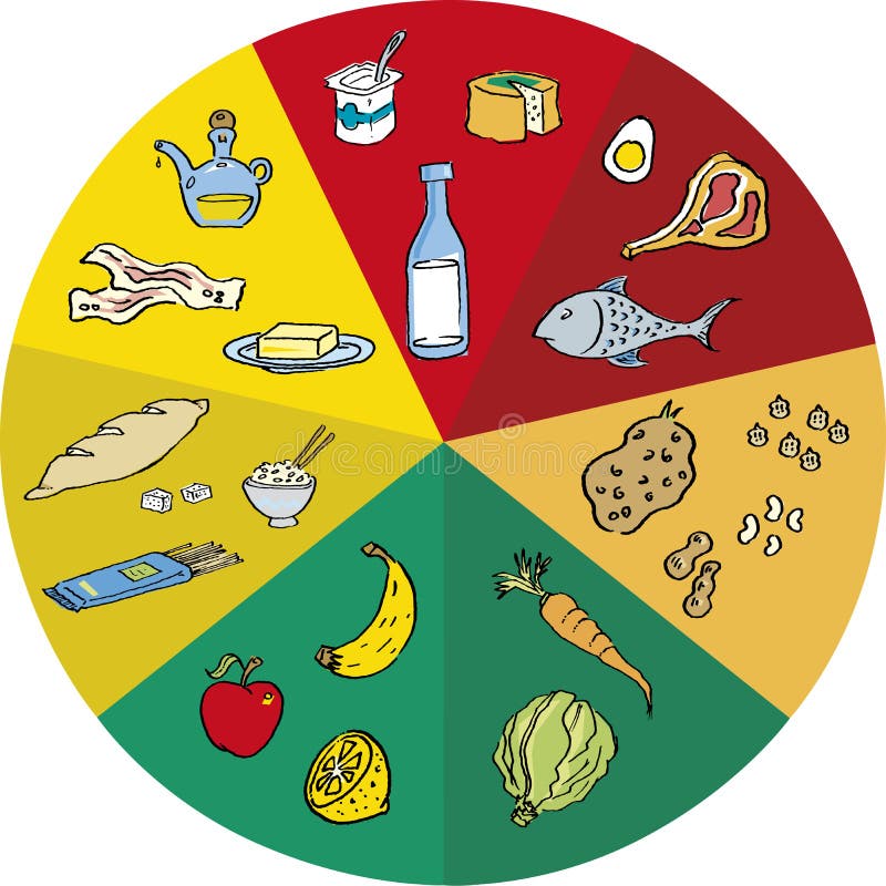 Food circle stock vector. Illustration of dairy, portion - 11983787