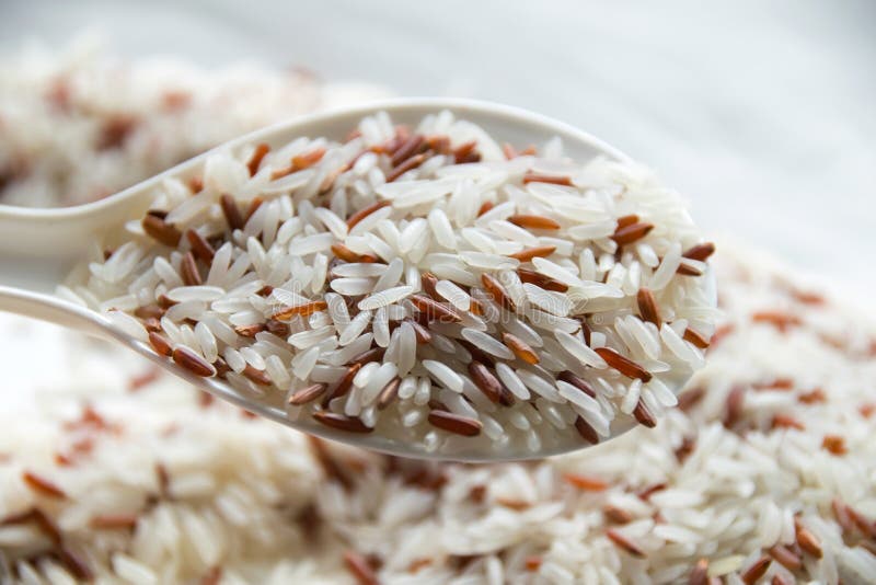 Food - Close Up Red Cargo Jasmine Rice Stock Image - Image of long ...