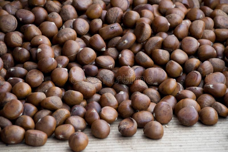 Food - Close Up Roasted Chestnuts for Eating Stock Photo - Image of ...