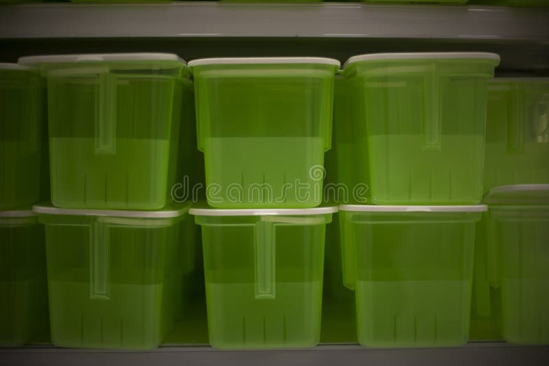 Food Containers in Store. Plastic Boxes. Food Storage Tanks Stock Image ...
