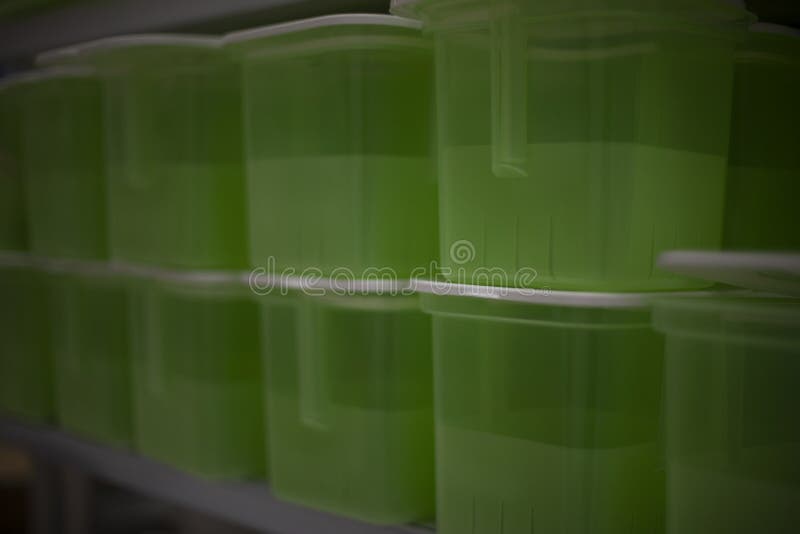 Food Containers in Store. Plastic Boxes. Food Storage Tanks Stock Photo ...
