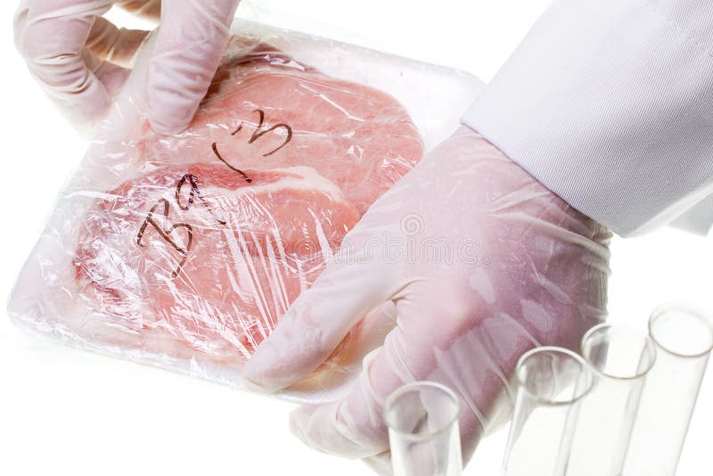 Food Control Specialist with Meat Specimen Stock Photo - Image of ...