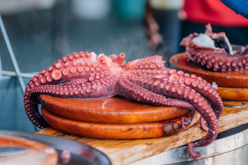 Food, cooked octopus stock image. Image of octopus, dish - 258986873