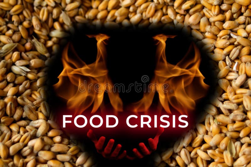 Food Crisis. Global and European Grain and Wheat Crisis, Ukraine ... Food Crisis. Global and European Grain and Wheat Crisis, Ukraine ...