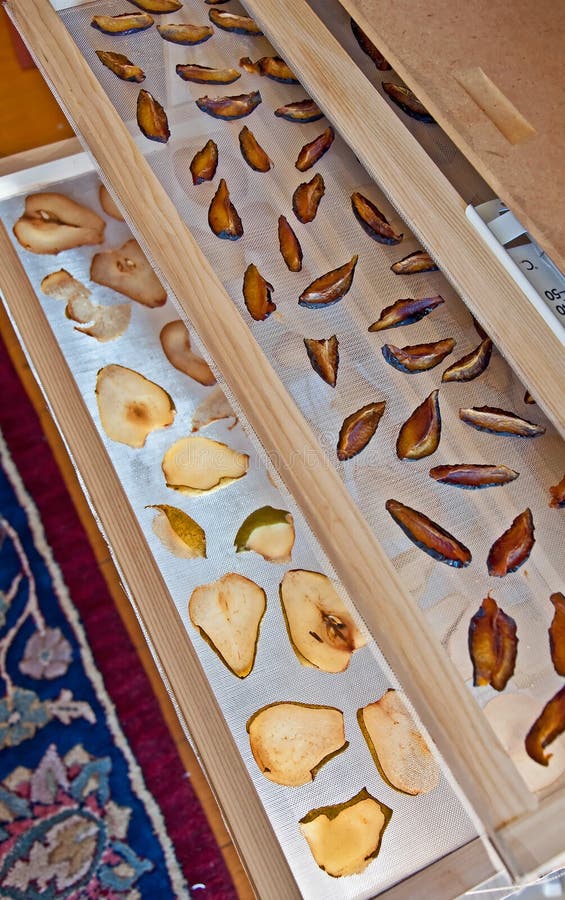Food Dehydrator with Pears and Italian Prune Plums Stock Photo - Image ...