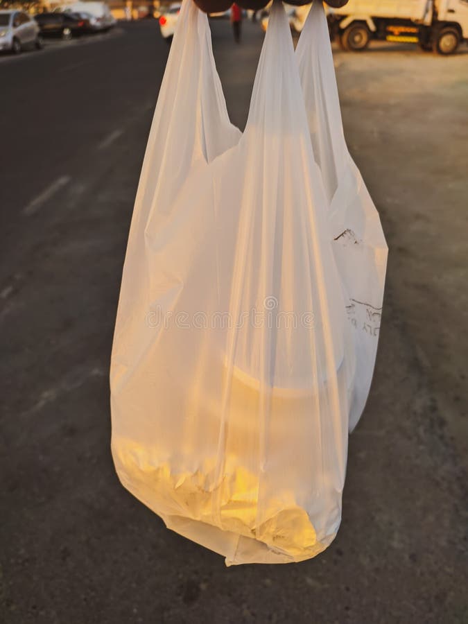 Food delivery on the way stock image. Image of carrying - 233705057