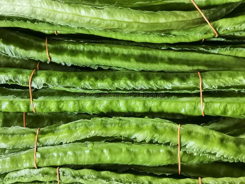 Food and drink stock photo. Image of market, green, vegetable - 153376578