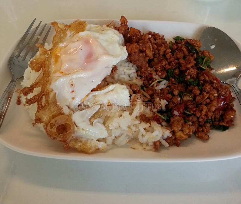 Food stock photo. Image of spicy, pork, rice, food - 99737694