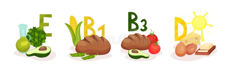 Food Enriched with Different Vitamins and Minerals Big Vector Set Stock ...