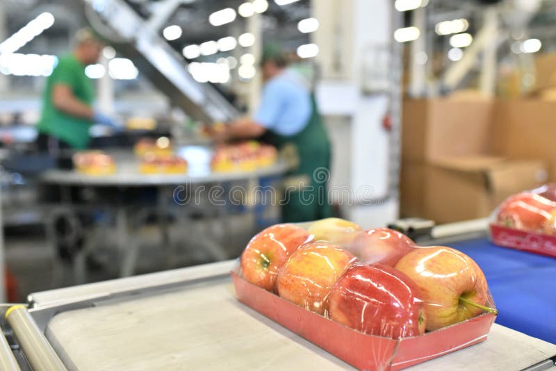 A line of apples stock image. Image of bunch, color, droplets - 15934455