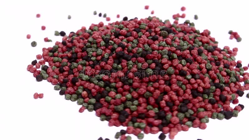 Food Fish Granulated, Dolly Shot Stock Footage - Video of pets, tank ...