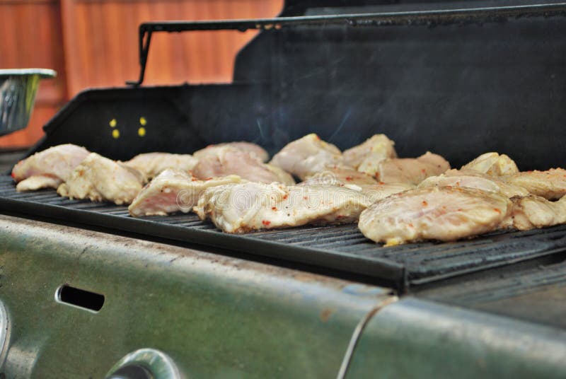 Food on the Grill at a Backyard Cookout Stock Photo - Image of cuisine ...
