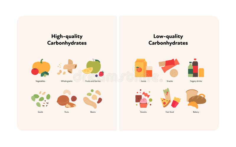 Food Guide Concept. Vector Flat Modern Illustration Stock Vector ...