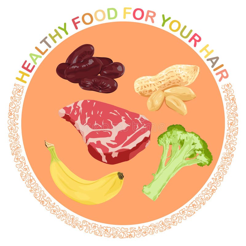 Food for HAIR stock vector. Illustration of food, fresh - 59750294