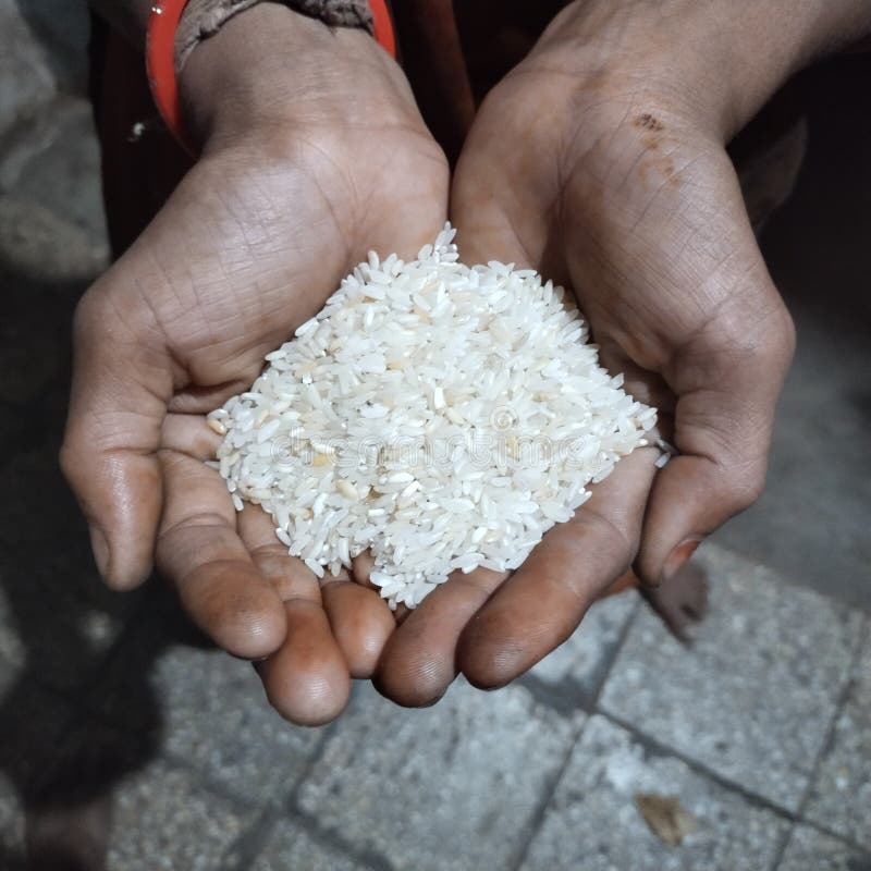 Food and hand stock photo. Image of cuisine, plant, leaf - 218805538