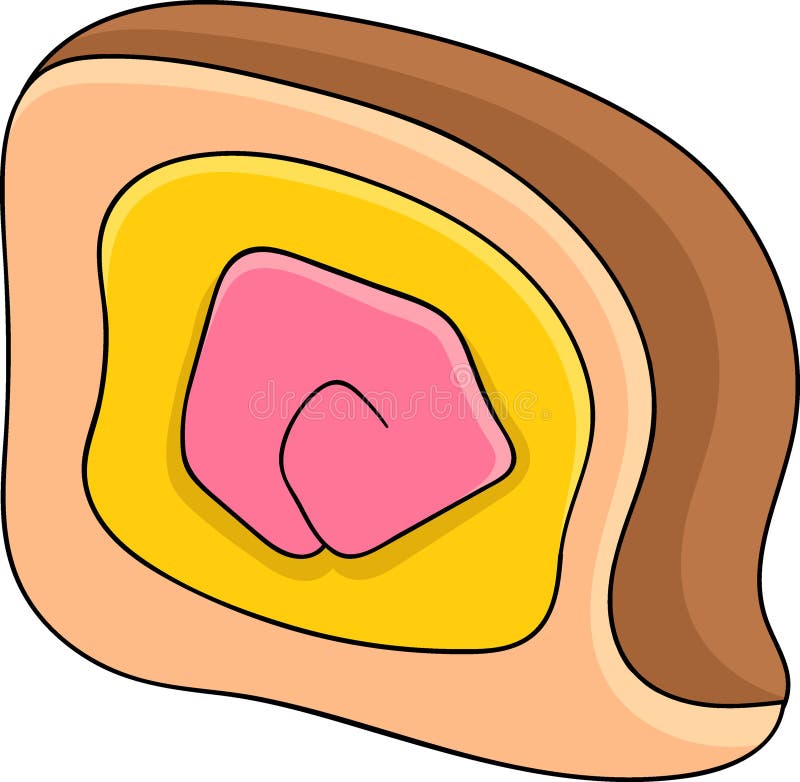 Food Illustration Image, Delicious Sweet Thinly Sliced Roll Cake Stock ...