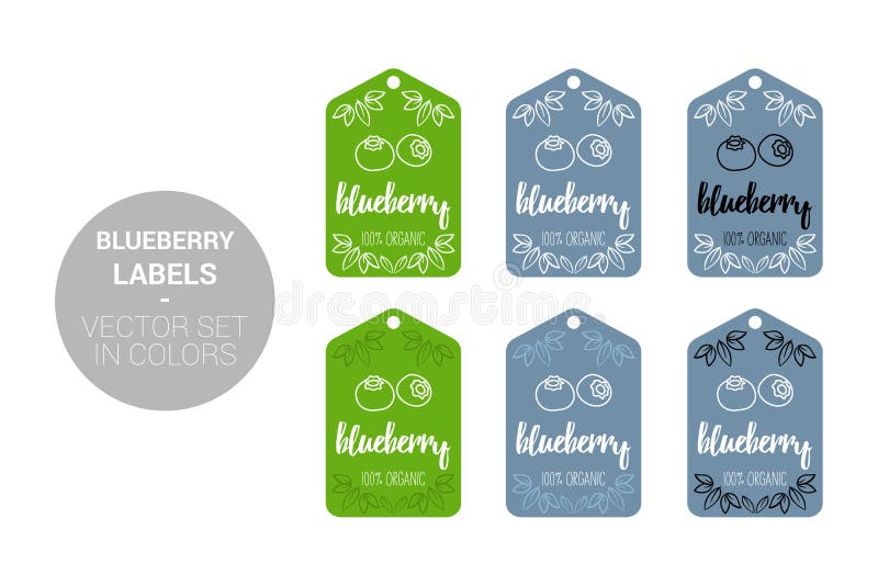 Blueberry Fruit Natural Store Labels Set in Green, Blue Colors. Stock ...