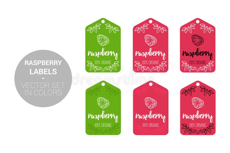 Raspberry Fruit Natural Store Labels Set in Green, Red Colors. Stock ...