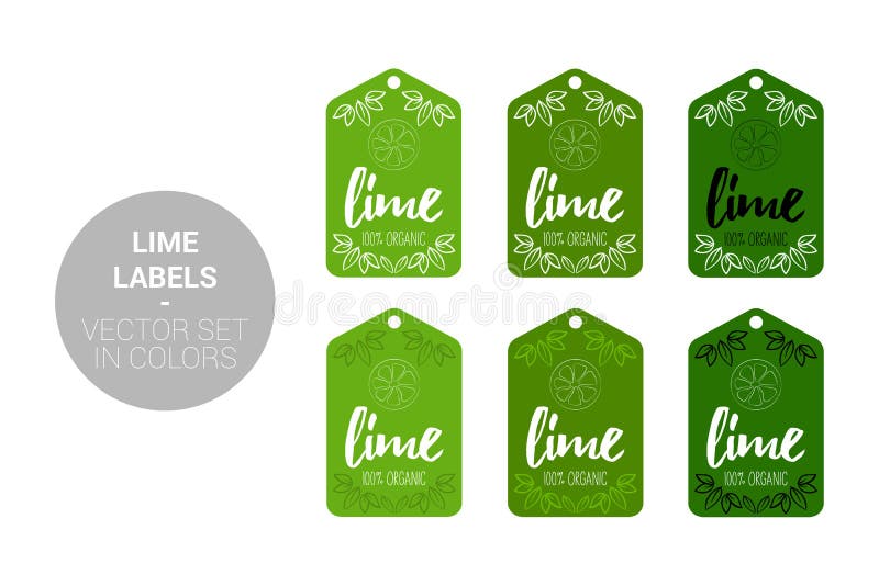 Lime Fruit Eco Labels Vector Set in Green, Dark Green Colors. Stock ...