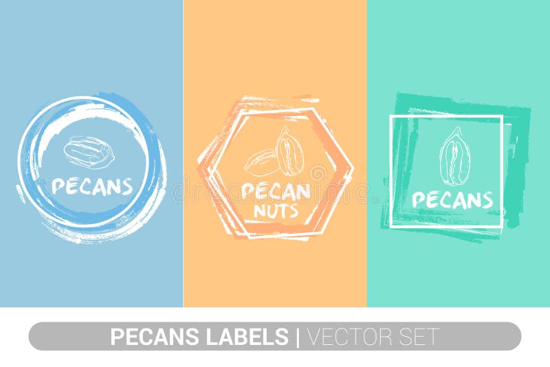 Pecan Nuts Colorful Label Set. Raw Organic Pecans Badge Shapes ...