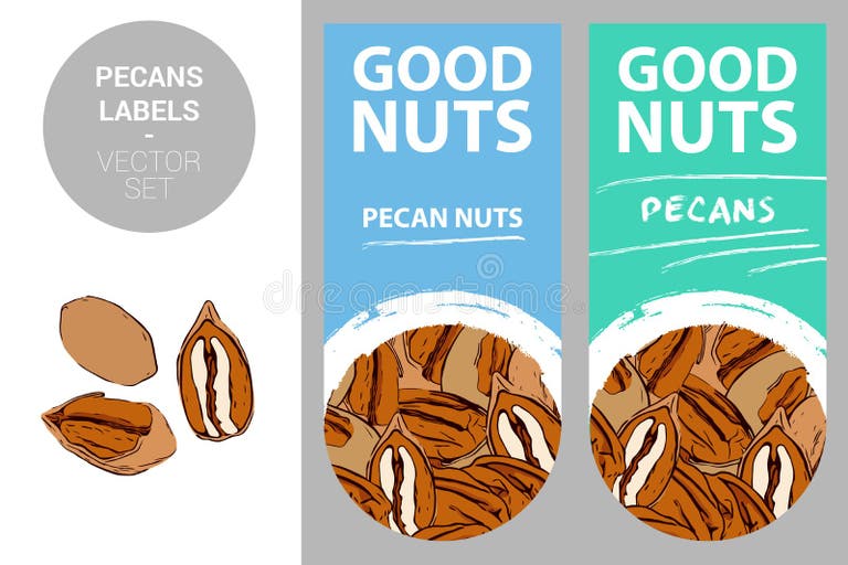 Pecan Nuts Product Labels in Blue and Turquoise Colors with Nut Texture ...
