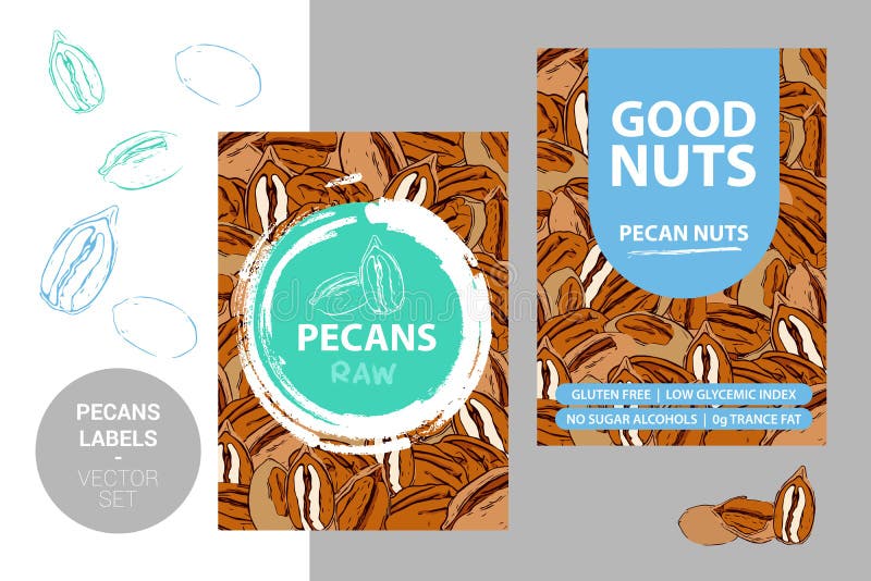 Pecan Nuts Labels with Brush Stroke Elements and Cartoon Drawn Pecans ...