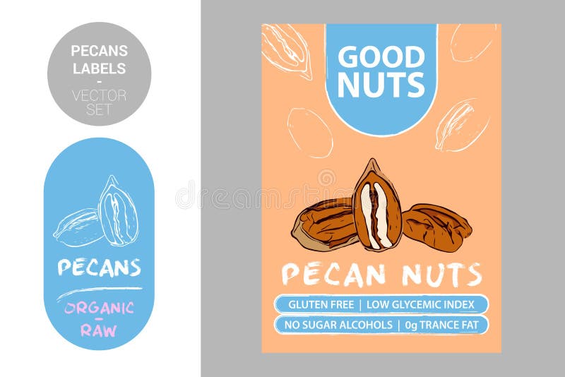 Raw Pecan Nuts Label. Creative Colorful Badge with Semicircle of Nuts ...