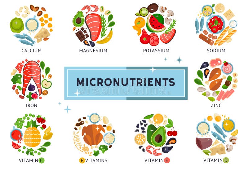 The Food Infographic about Micronutrients, Vitamins, Design Template ...