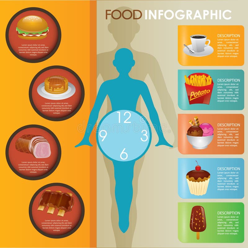 Food Infographic. Vector Illustration Decorative Design Stock Vector ...
