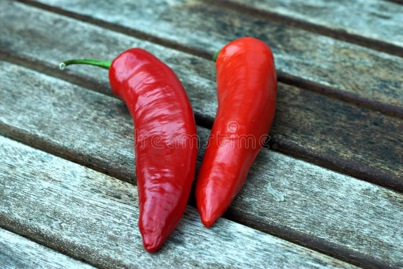 Food and ingrediens stock photo. Image of vegetarians - 44221364